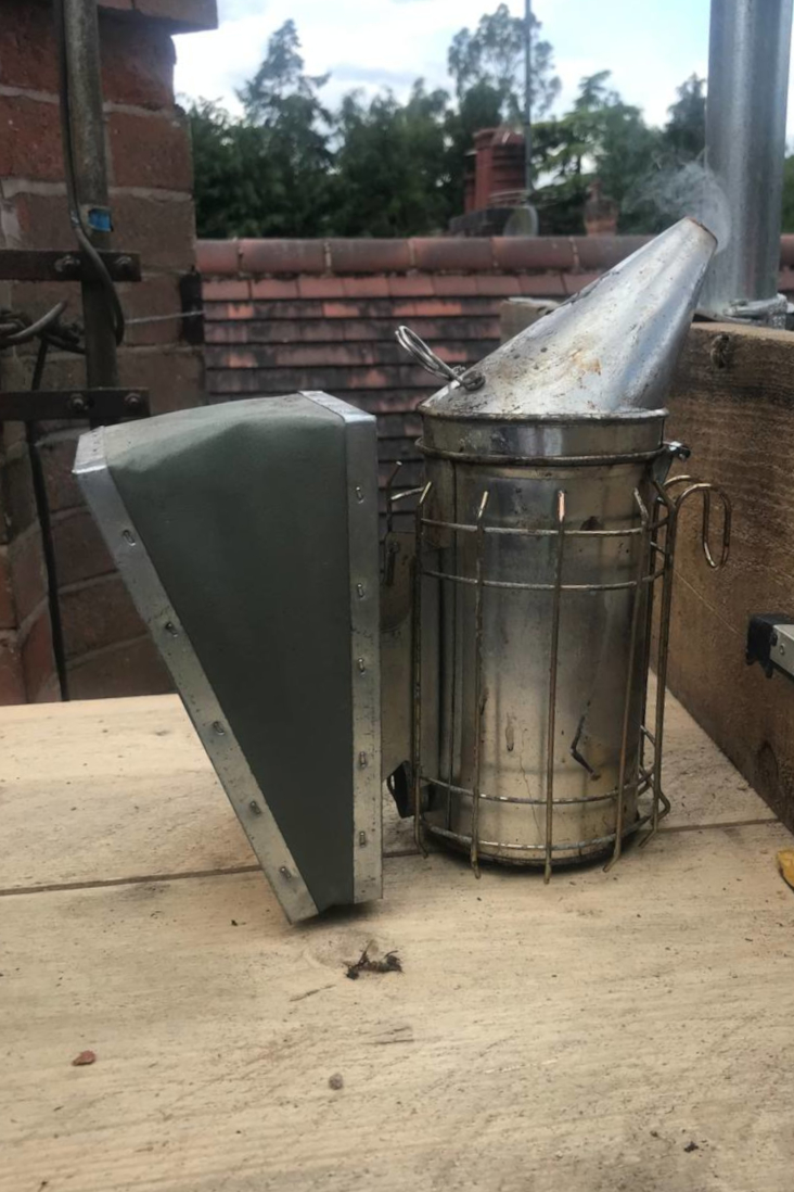 Old Chimney Bees removal and re-home - Honey Bee Rescue